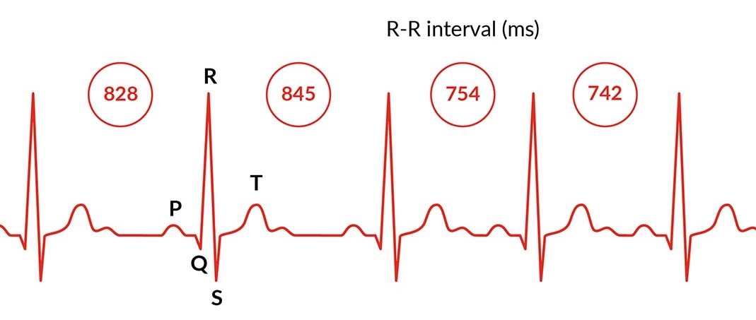 心率變異度(HRV) | 健康科學 | Garmin Hong Kong